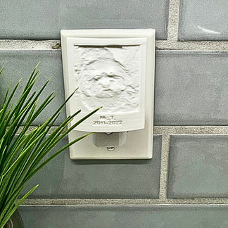 Memory Frame™ Personalized Night Light