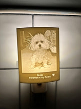 Memory Frame™ Personalized Night Light