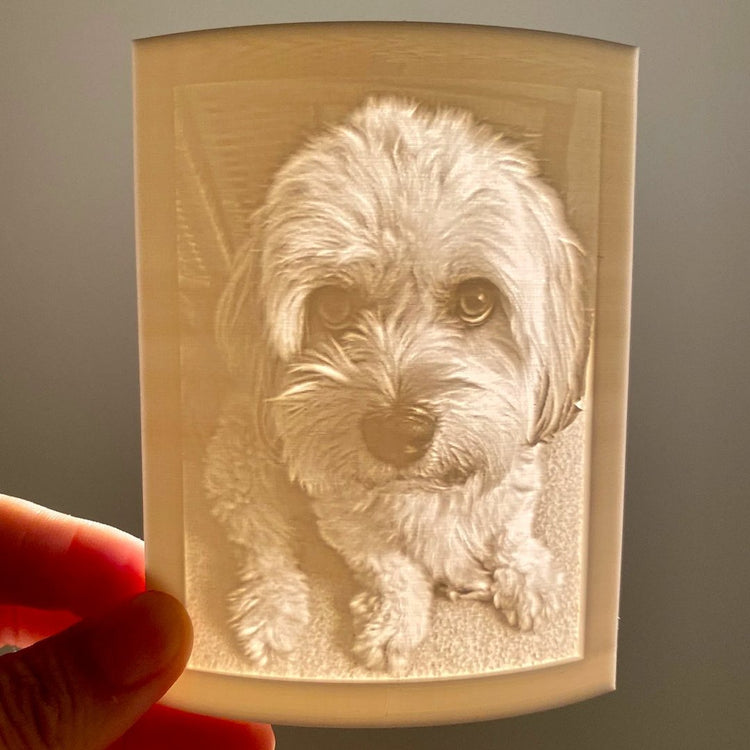 Memory Frame | Memories in Frame – Memory Frame™